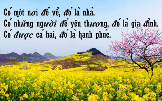 9999 Những câu nói hay về gia đình ý nghĩa sâu sắc đáng đọc