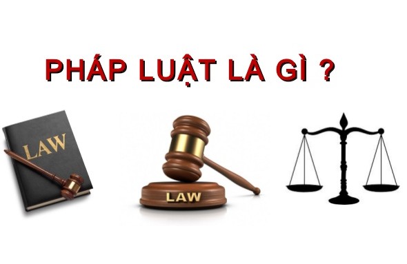 Pháp Luật Là Gì Nguồn Gốc Và đặc điểm Của Pháp Luật