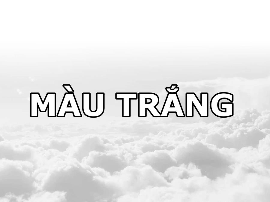 Màu trắng là gì? Ý nghĩa của màu trắng trong cuộc sống & thiết kế