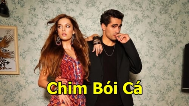 Xem Phim Chim Bói Cá Yali Çapkini Trọn Bộ 3535 Tập