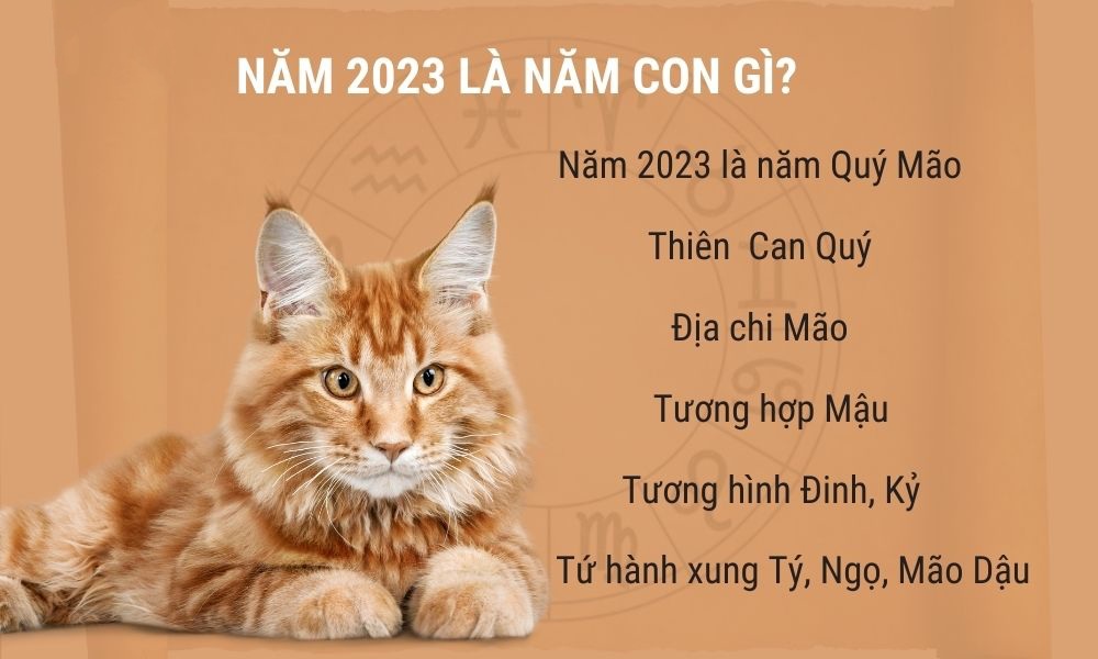 Năm sau là năm con gì? Năm 2023 có nên sinh con?