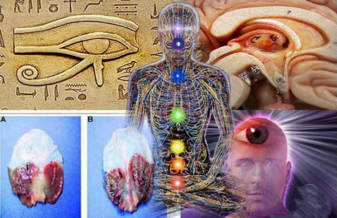 Cách Khai Mở Con Mắt Thứ 3 Huệ Nhãn Bí ẩn Ai Cũng Cần